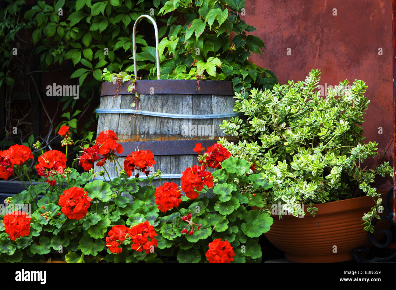 Art background. Composition of barrel, flowers, colour wall Stock Photo ...