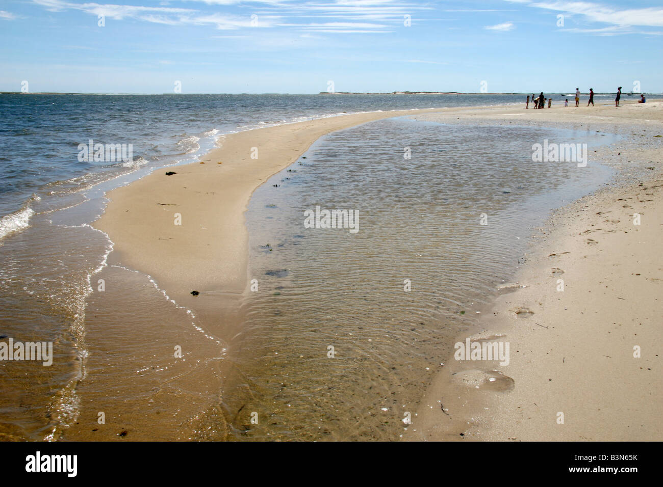 Cape cod monomoy wildlife hi-res stock photography and images - Alamy