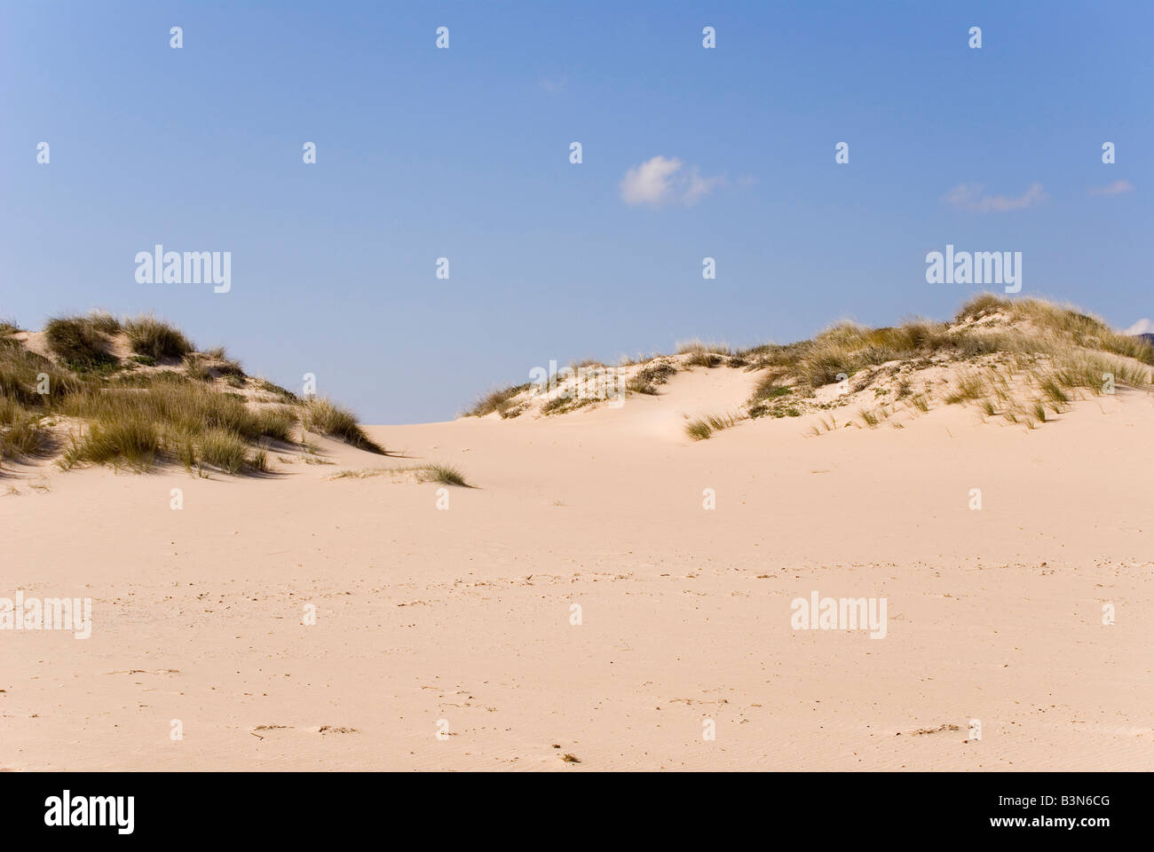 Italy, Sardinia, Sand dunes and grass Stock Photo - Alamy