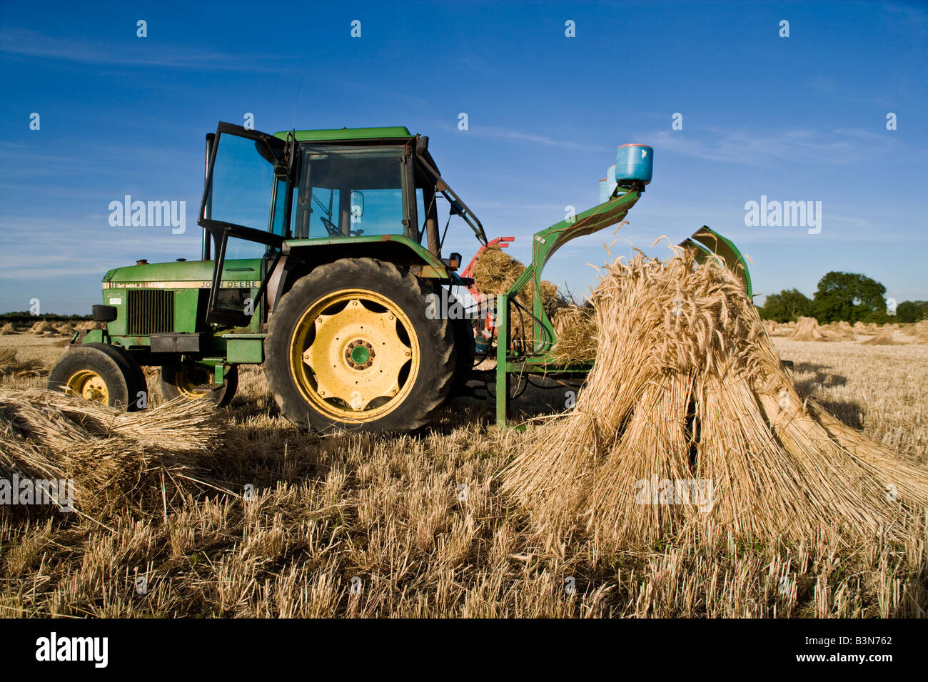 Oxfordshire wheat field including tractor to load the special long ...