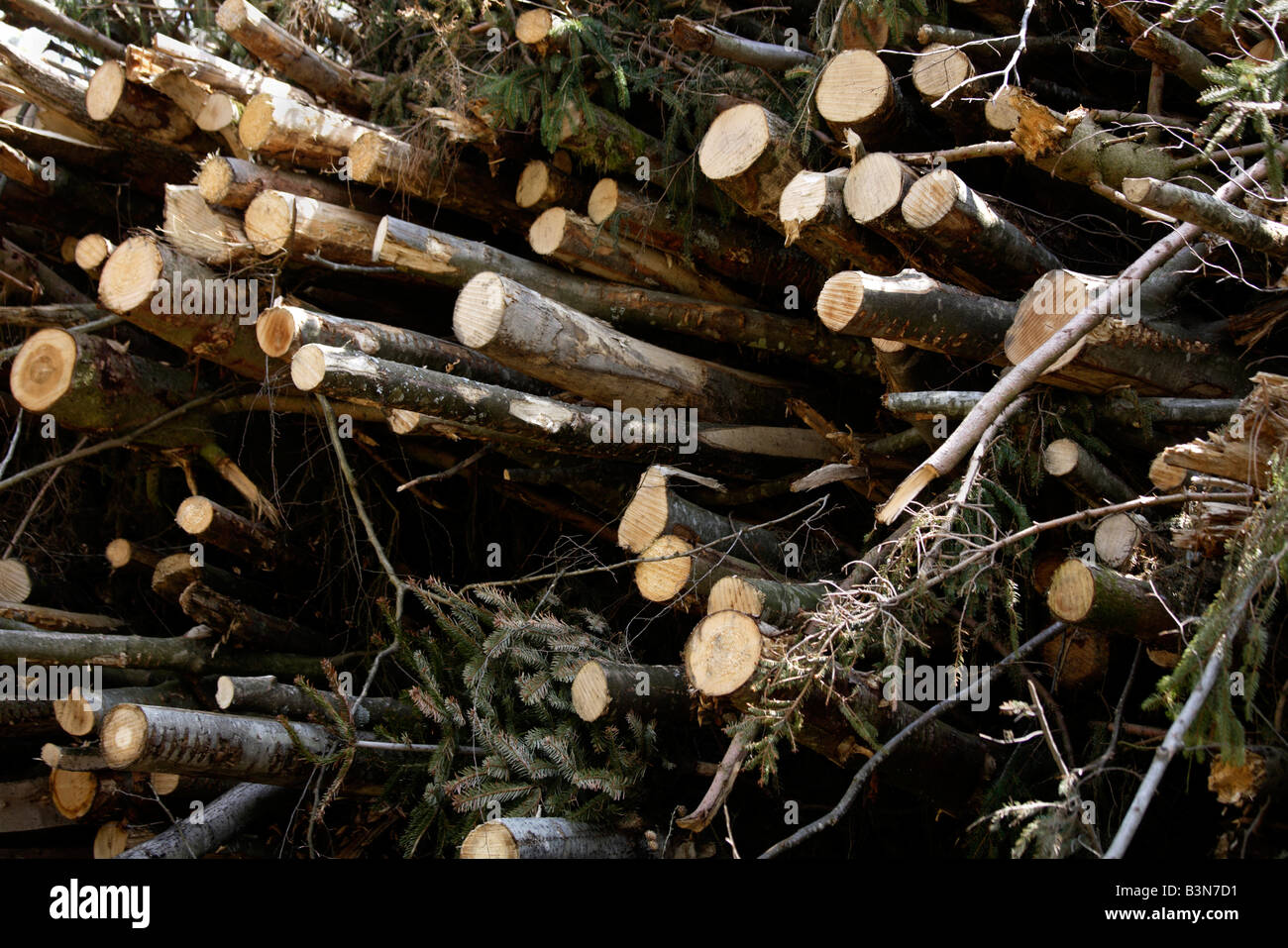Germany, Bavaria, Upper Bavaria, Stack of sawn timber, full frame Stock ...