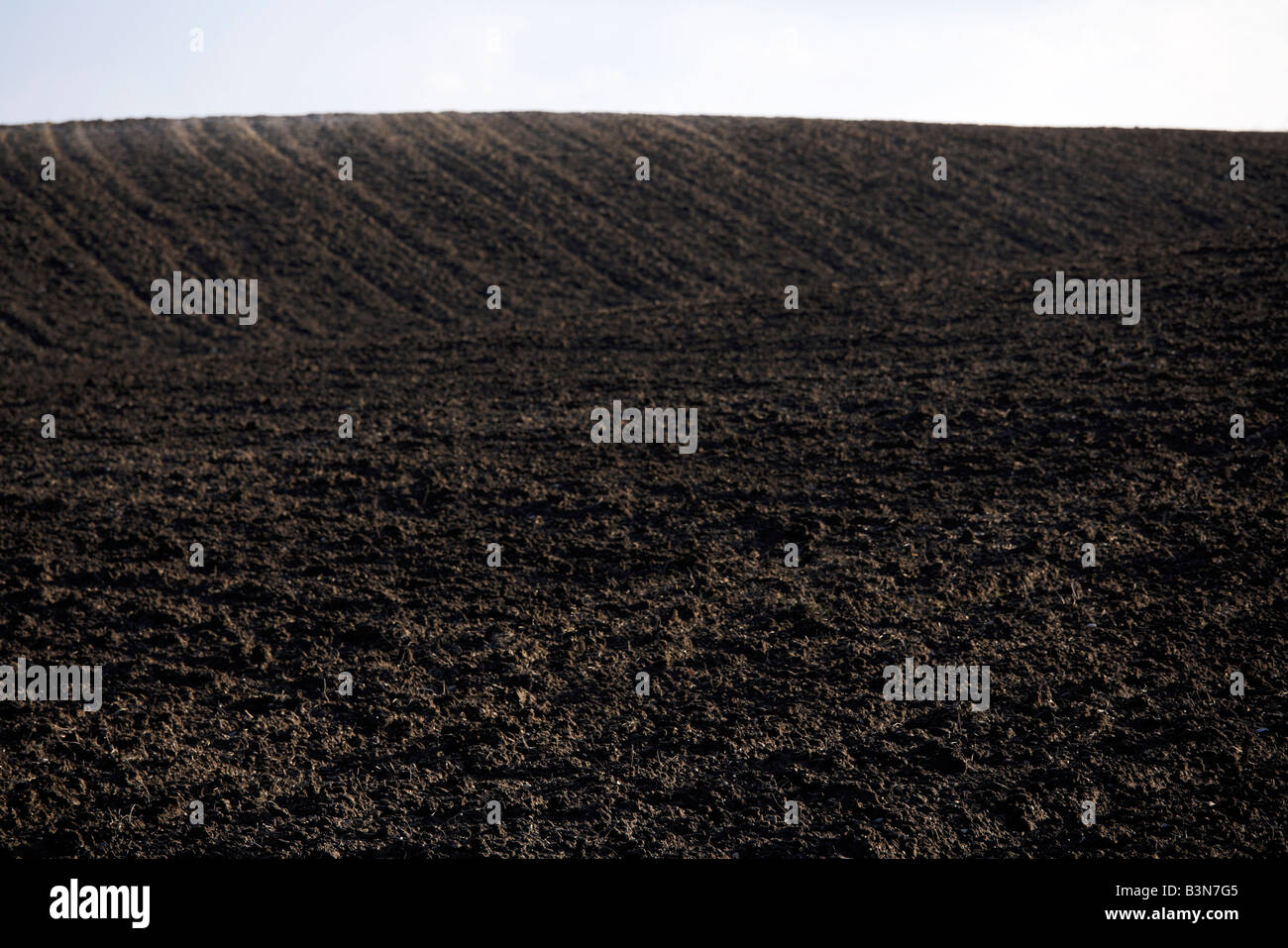 Germany, Bavaria, field Stock Photo - Alamy