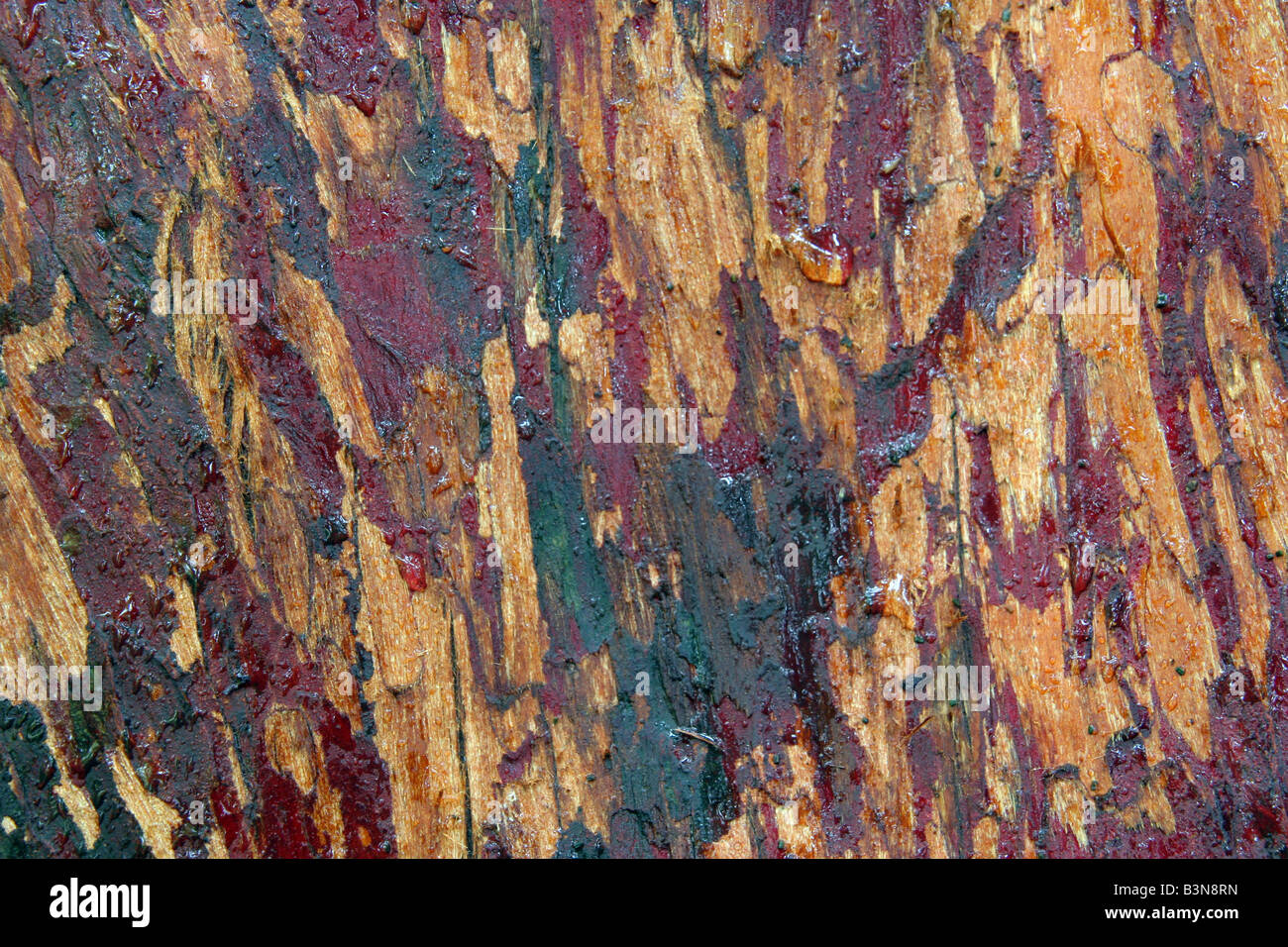 fir tree trunk up close Stock Photo - Alamy