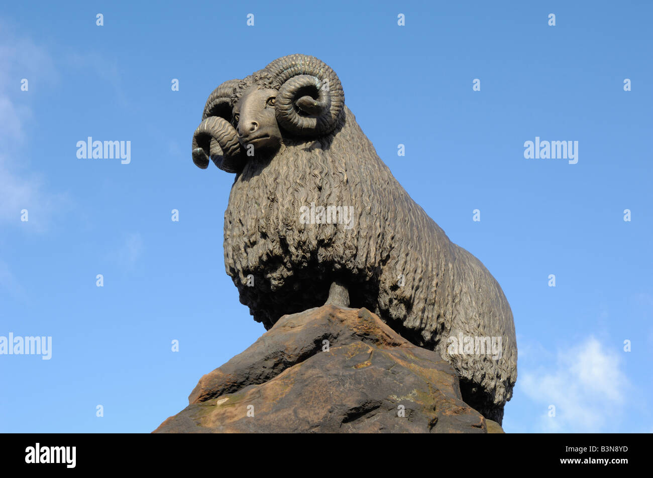 The moffat ram moffat hi-res stock photography and images - Alamy