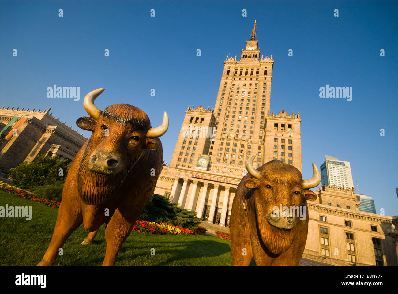 Cows model hi-res stock photography and images - Alamy