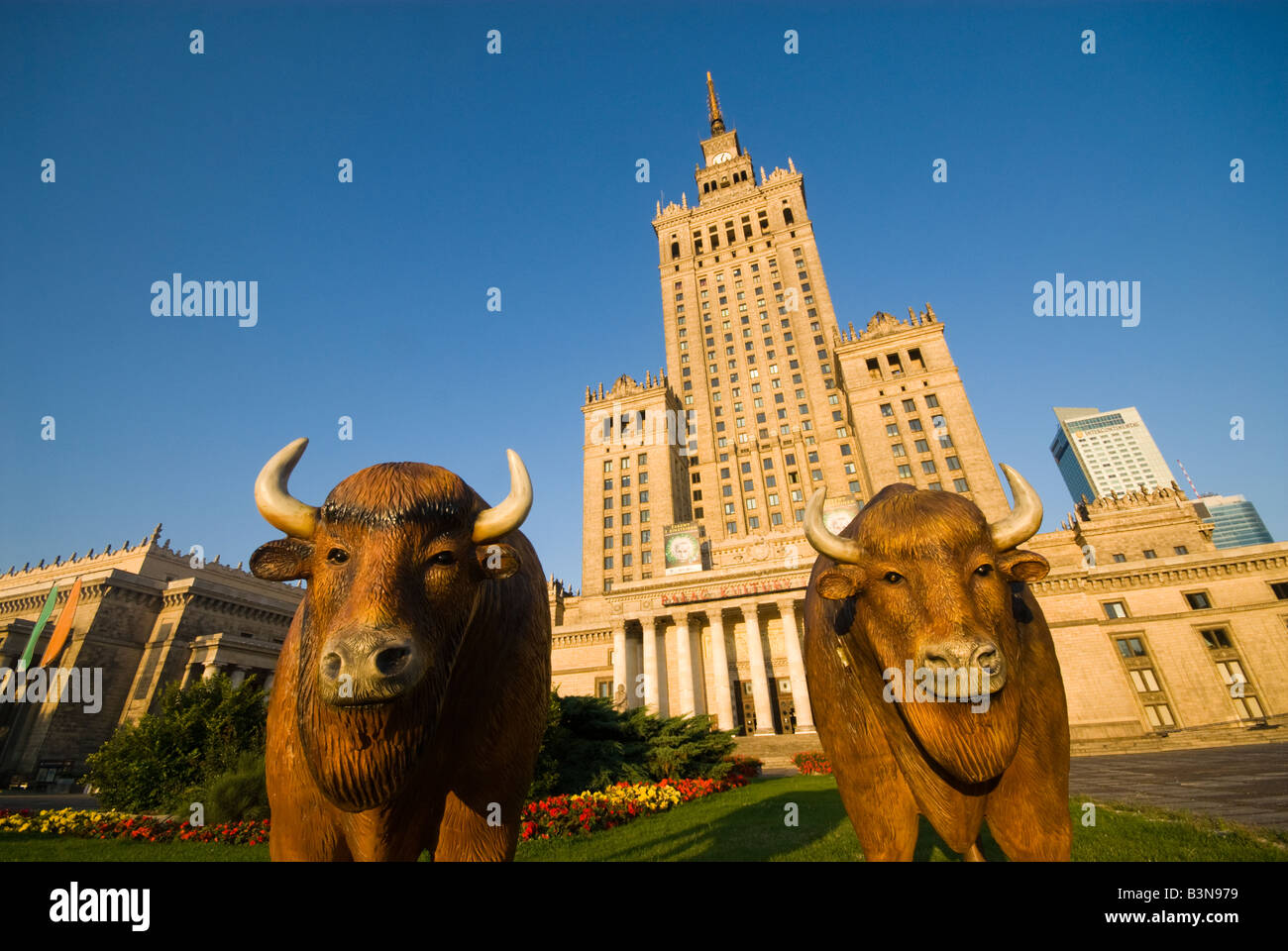 Model cows hi-res stock photography and images - Alamy