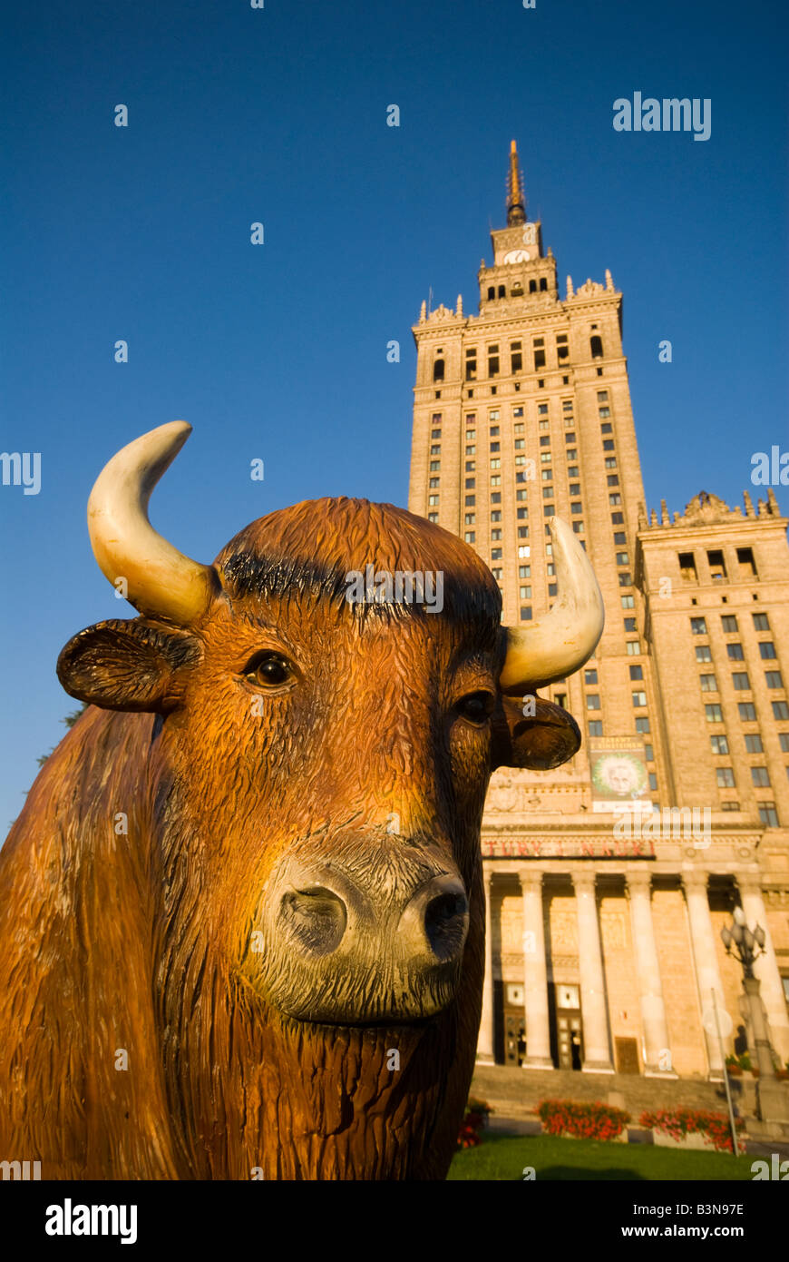 Model cows hi-res stock photography and images - Alamy