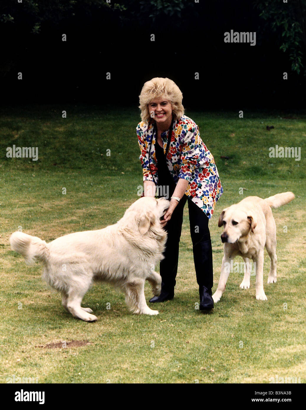 Gloria Hunniford TV Presenter at home with her dogs Stock Photo - Alamy