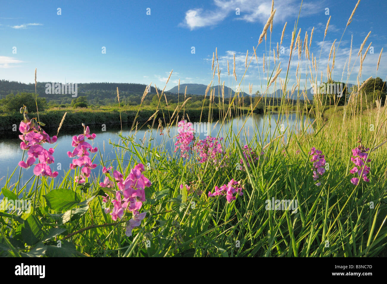 Coquitlam River Colony Farm Regional Park Port Coquitlam British ...