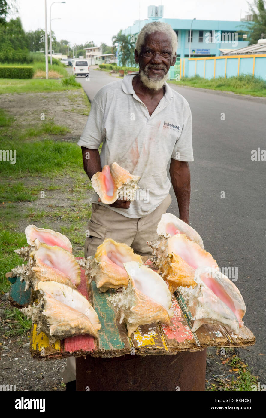 Seashell trade hi-res stock photography and images - Alamy