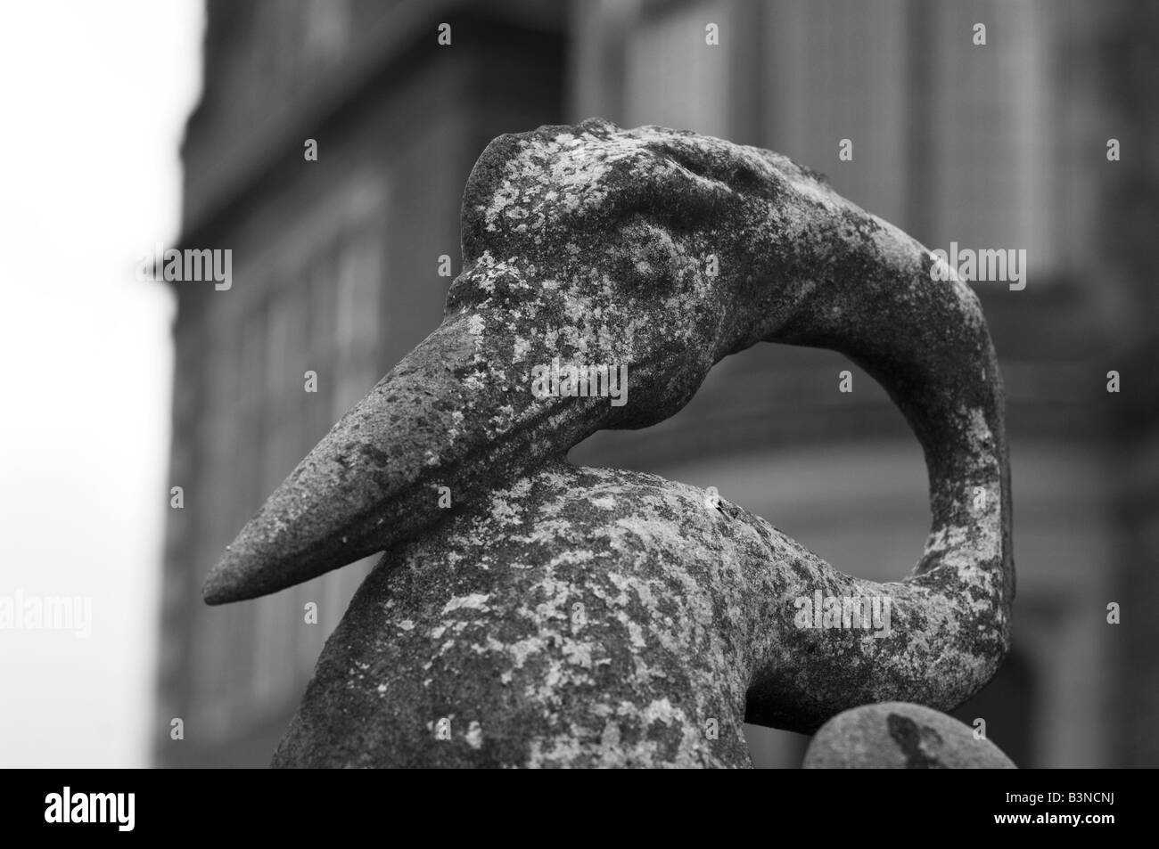 Stone bird head statue hi-res stock photography and images - Alamy
