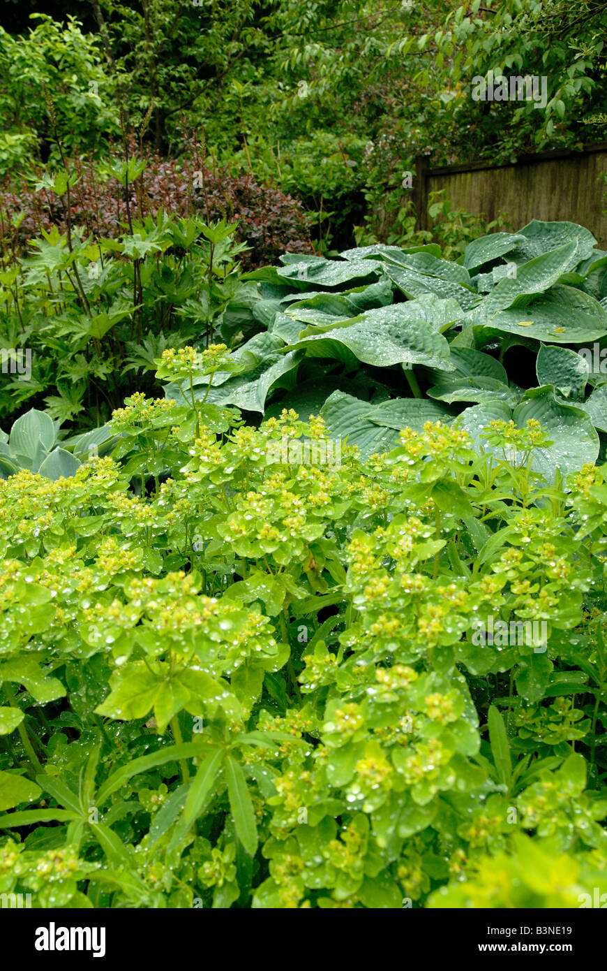 Barnsdale hi-res stock photography and images - Alamy