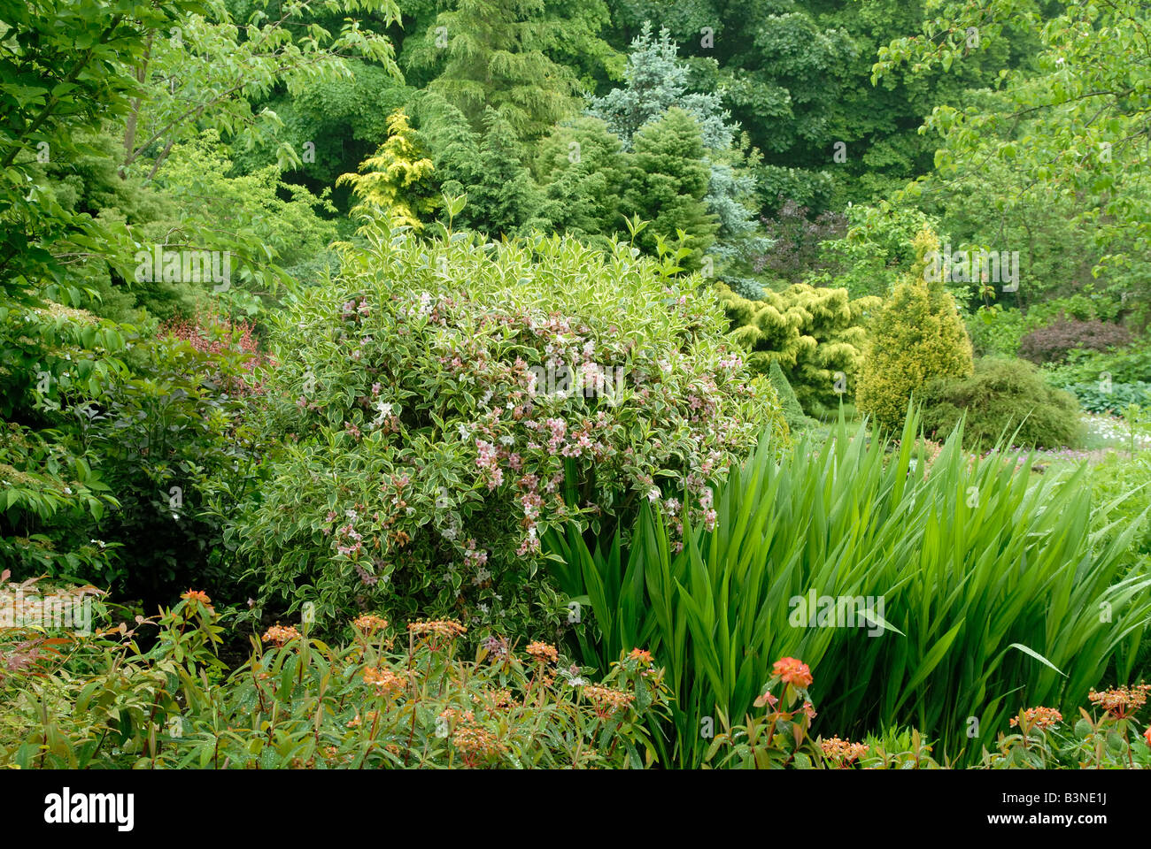 Barnsdale Gardens, Rutland Stock Photo - Alamy