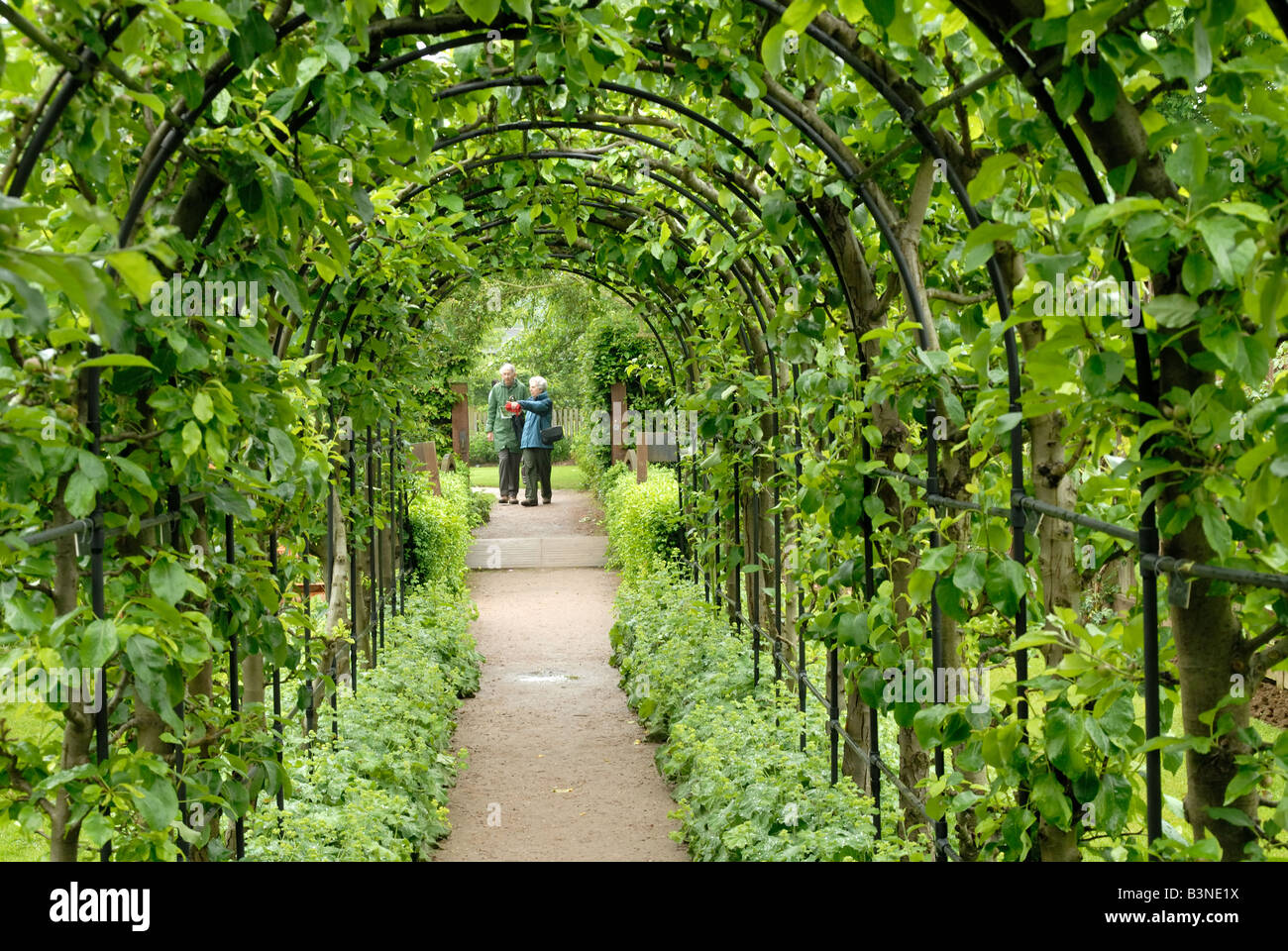 Barnsdale gardens hi-res stock photography and images - Alamy