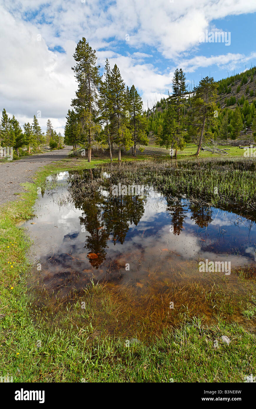 The reflection pool hi-res stock photography and images - Alamy