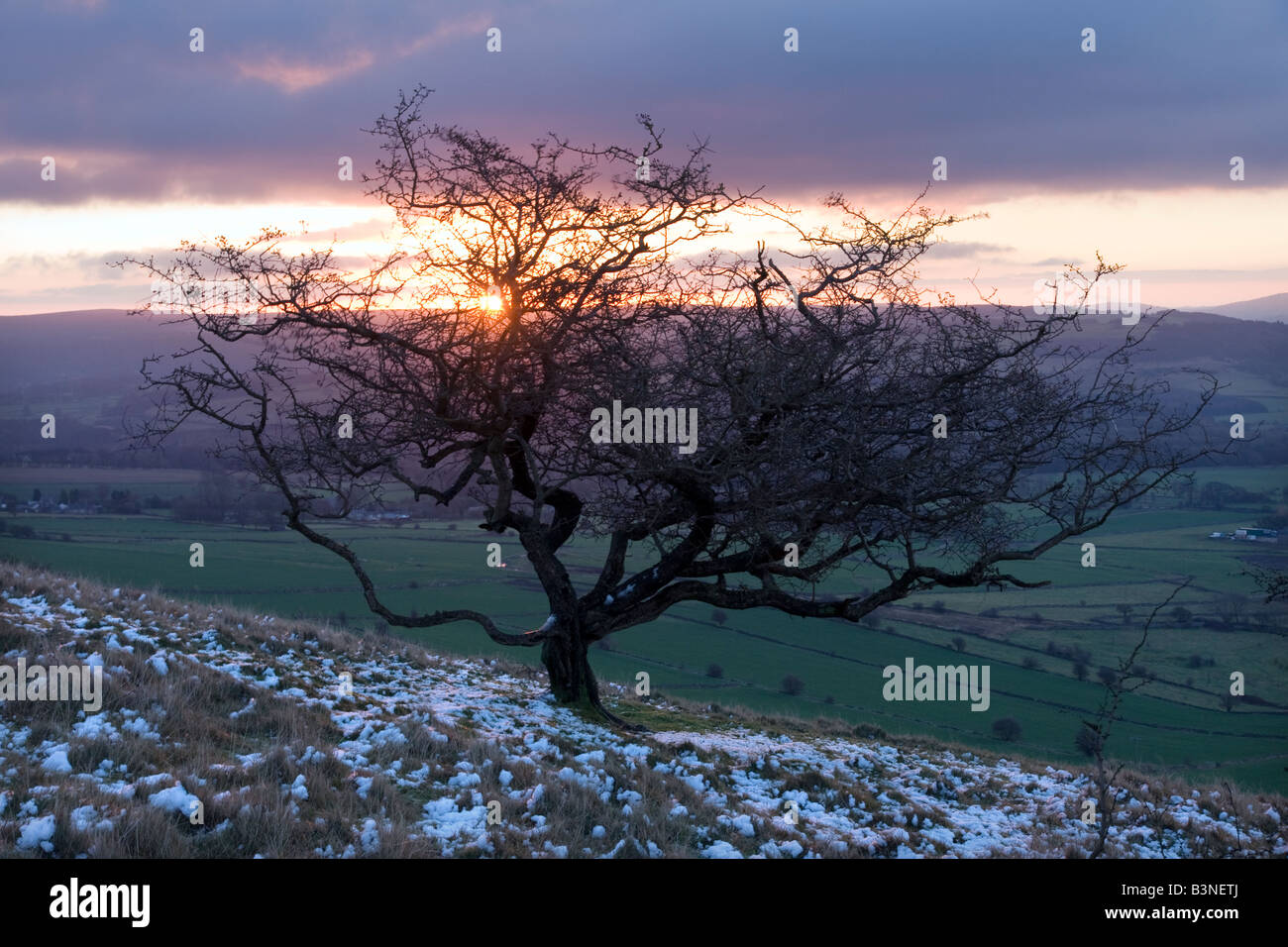 cold dawn at longstone edge in the english peak district Stock Photo ...
