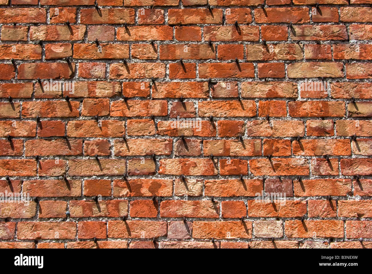 Kitchen garden wall with cordon eyelets Stock Photo - Alamy