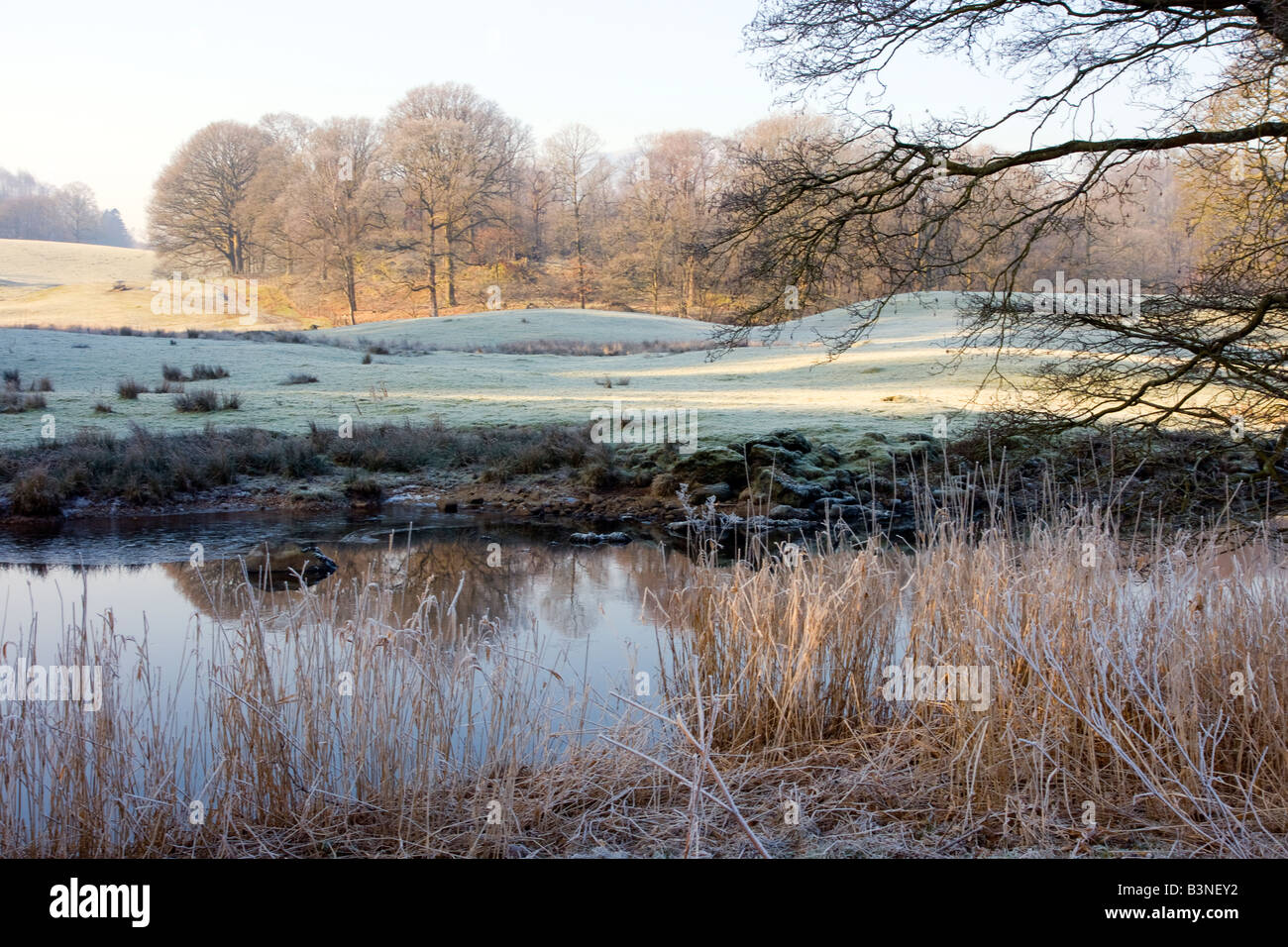 Brathay river frosty morning hi-res stock photography and images - Alamy
