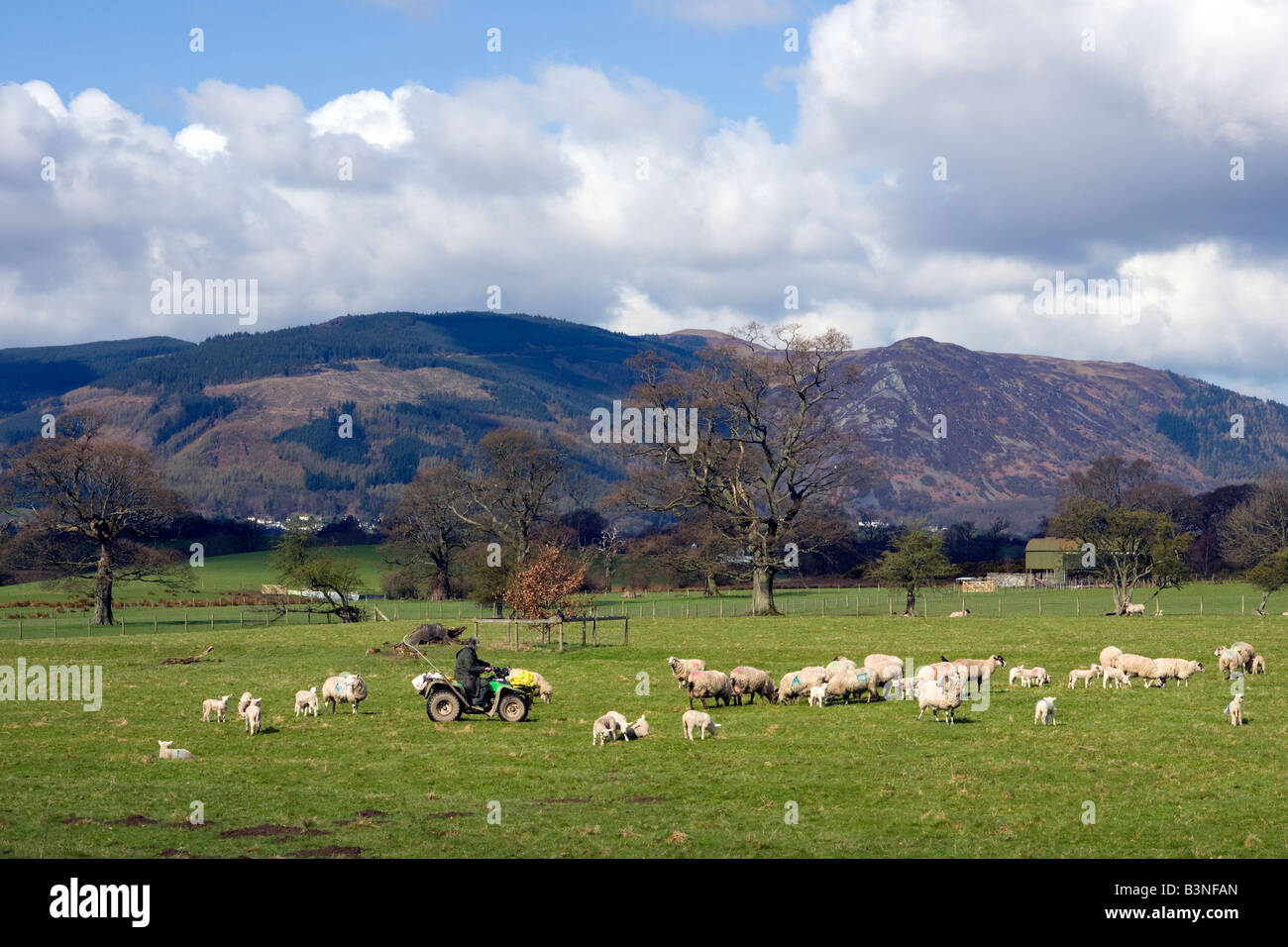 Modern hearding hi-res stock photography and images - Alamy