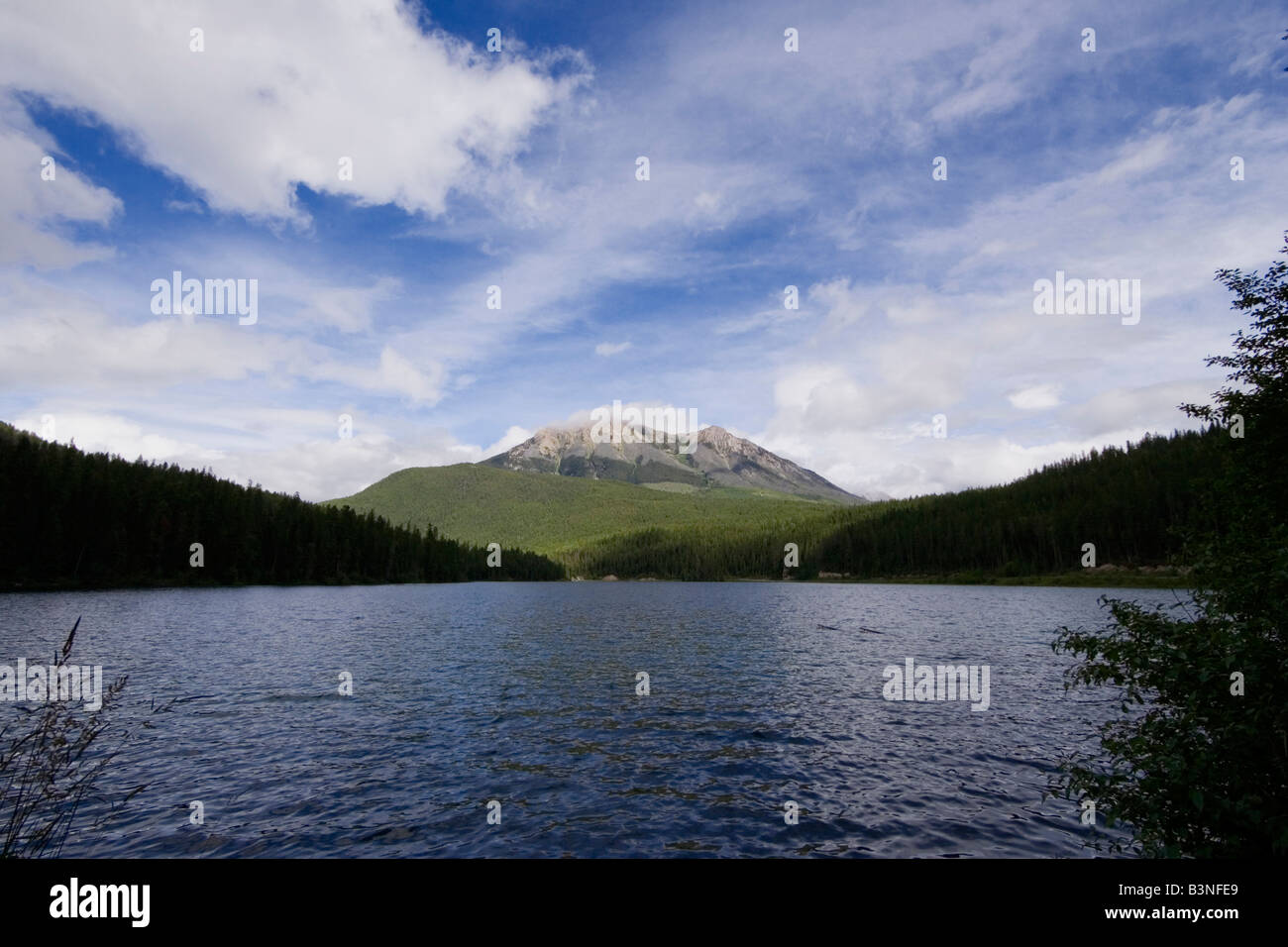 Whiteswan lake provincial park hi-res stock photography and images - Alamy