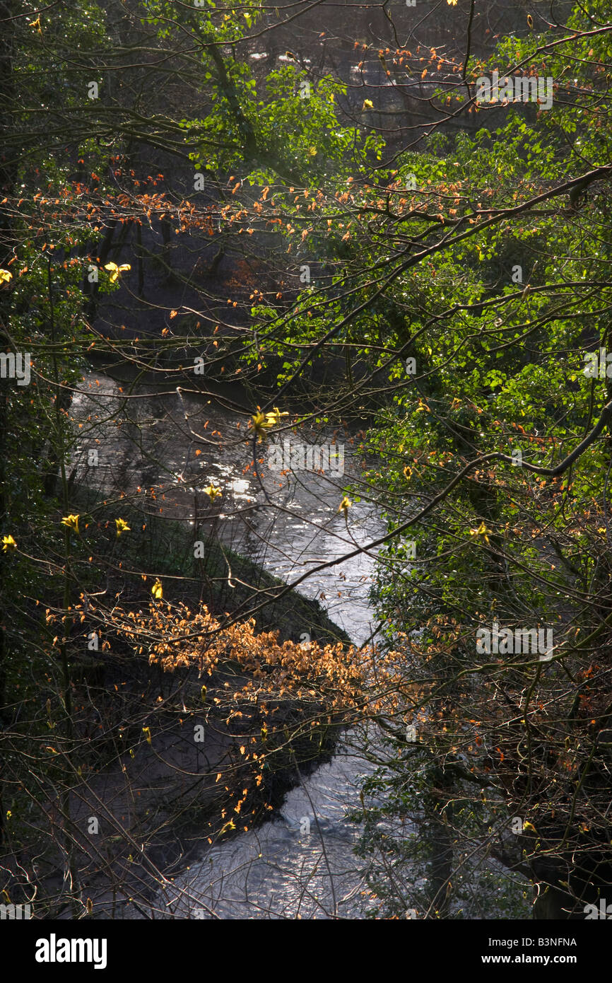 river bollin ay styal cheshire Stock Photo - Alamy