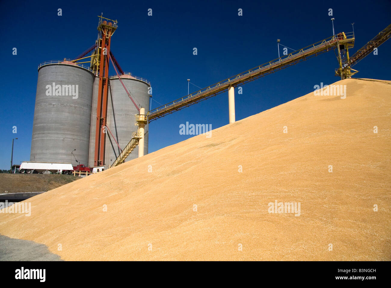 Pile of havested wheat in front of grain elevators at Mission Oregon ...