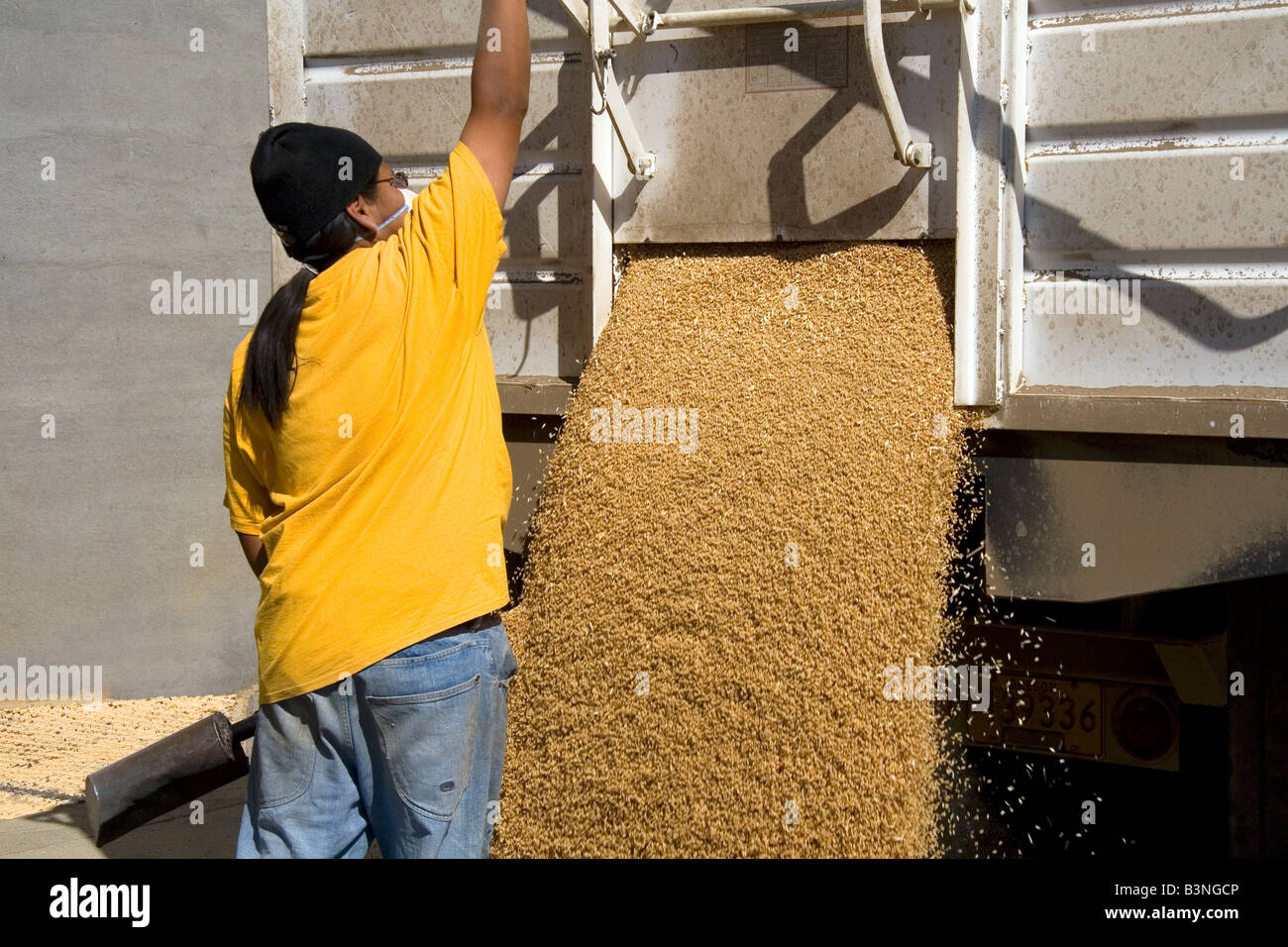Truck unloading grain hi-res stock photography and images - Alamy