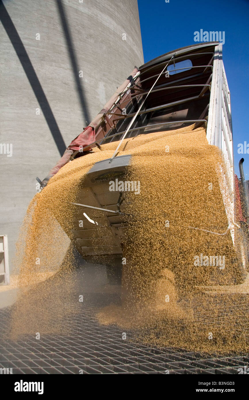 Unloading food truck hi-res stock photography and images - Alamy