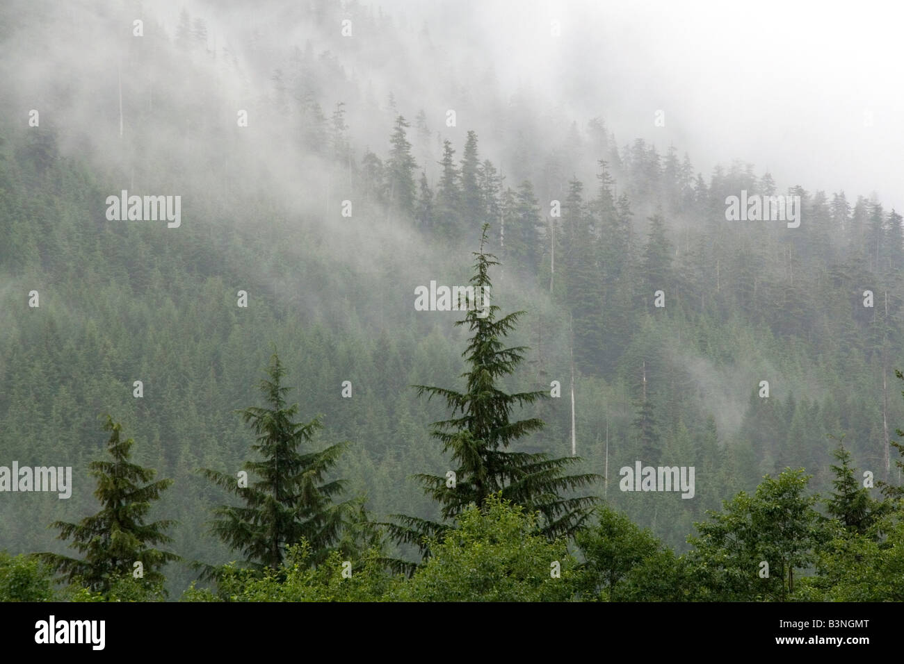 Fog and mist cover the Cascade Range near Snoqualmie Pass in Washington ...