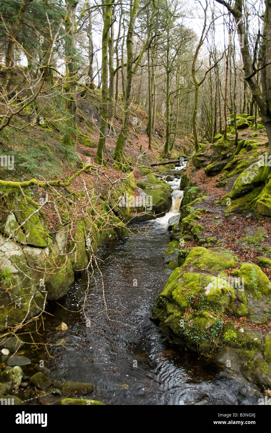 Irish river in Spring Stock Photo - Alamy