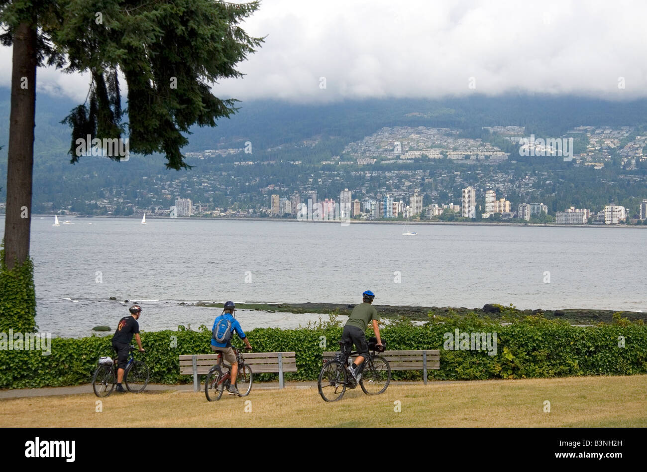 Bike path in park along hi-res stock photography and images - Alamy