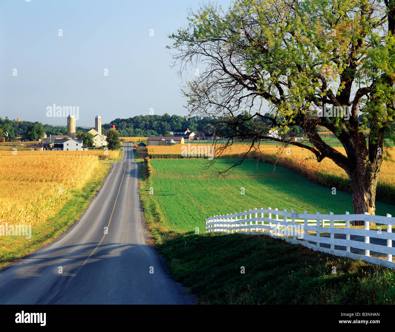 Rural road through an Amish farm, the most productive non-irrigated ...