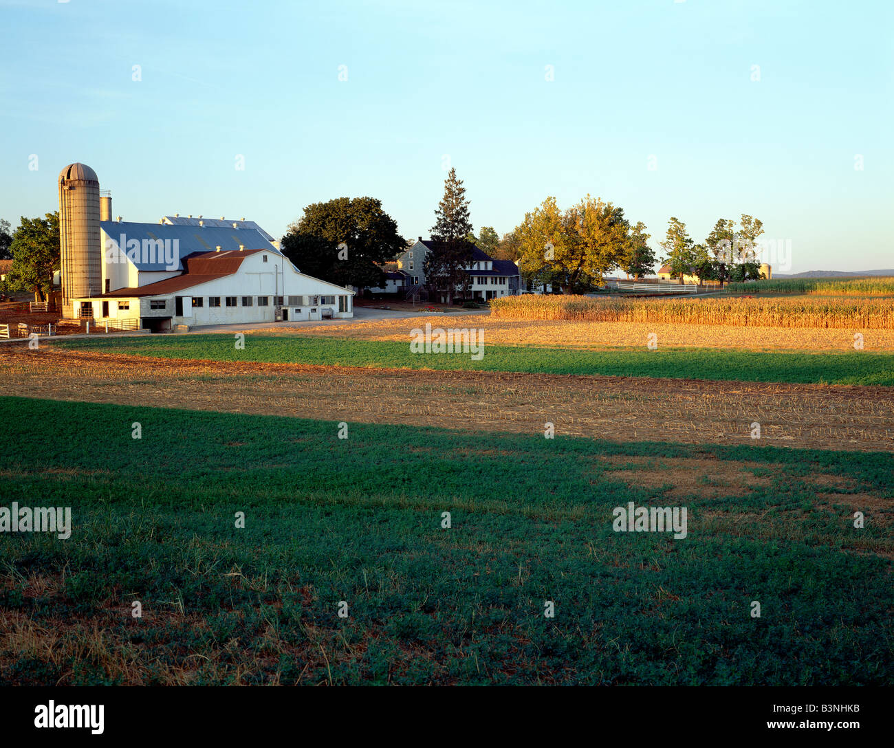 Fields of crops on an Amish farm, the most productive non-irrigated ...