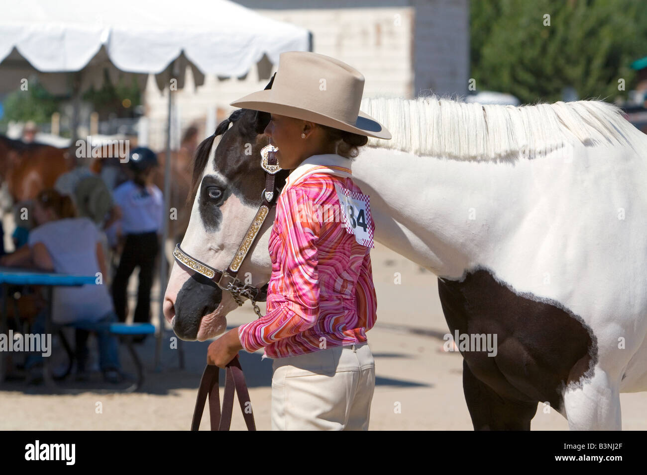 Girl showing her Pinto horse to 4 H judges at the Western Idaho Fair in ...