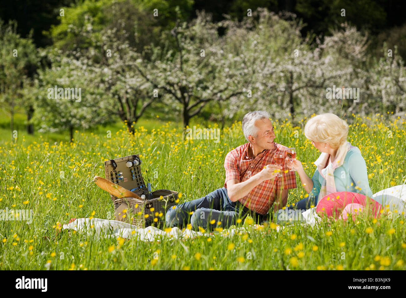 Germany, Baden Württemberg, Tübingen, Senior couple having picnic Stock ...