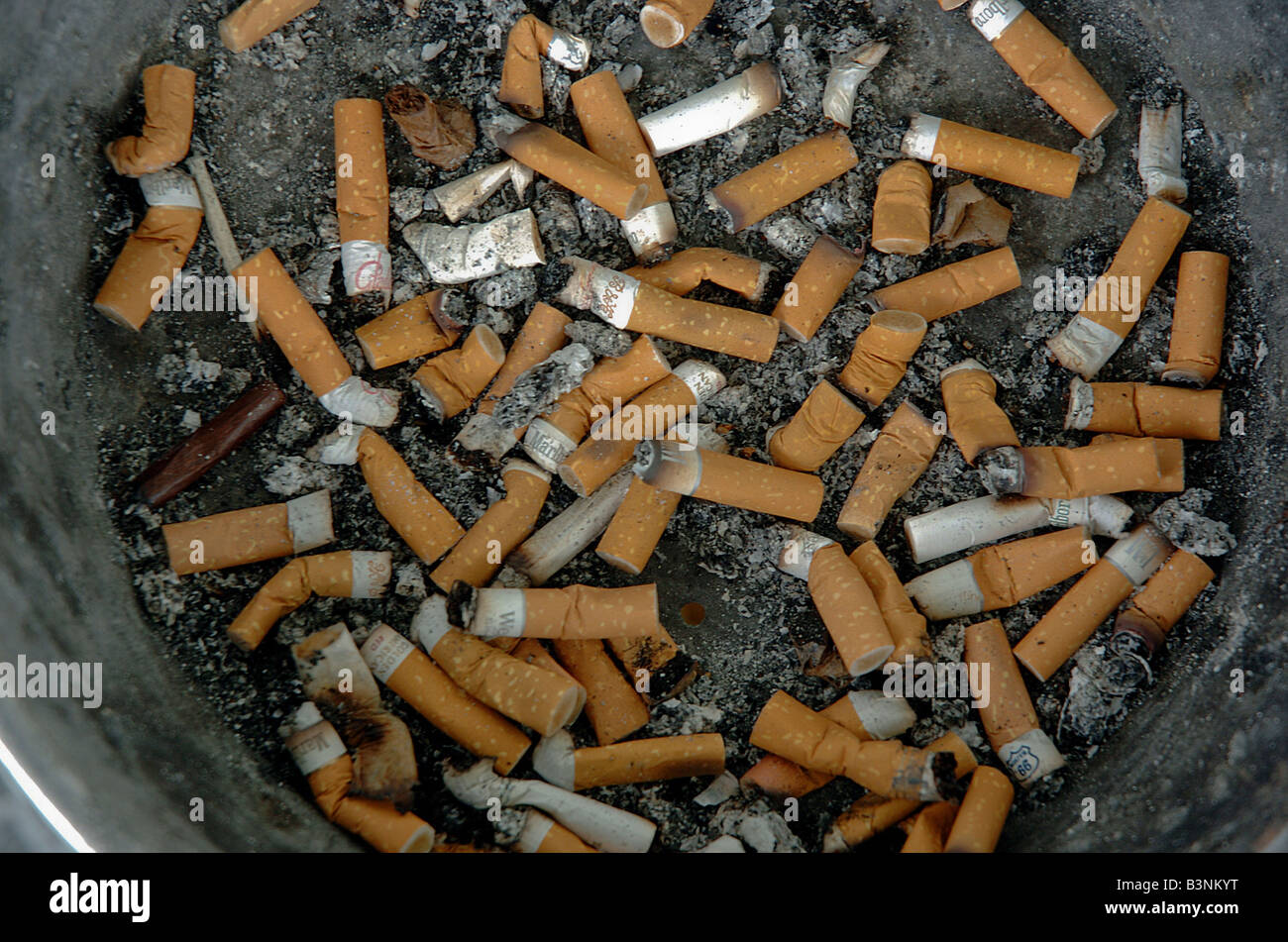 Cigarette buds in a bucket Stock Photo - Alamy