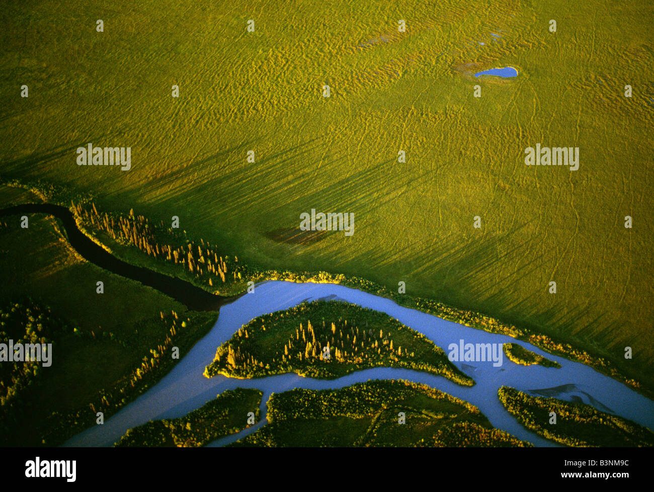 Aerial view of the remote, lush tundra in the Matanuska Region, Alaska ...
