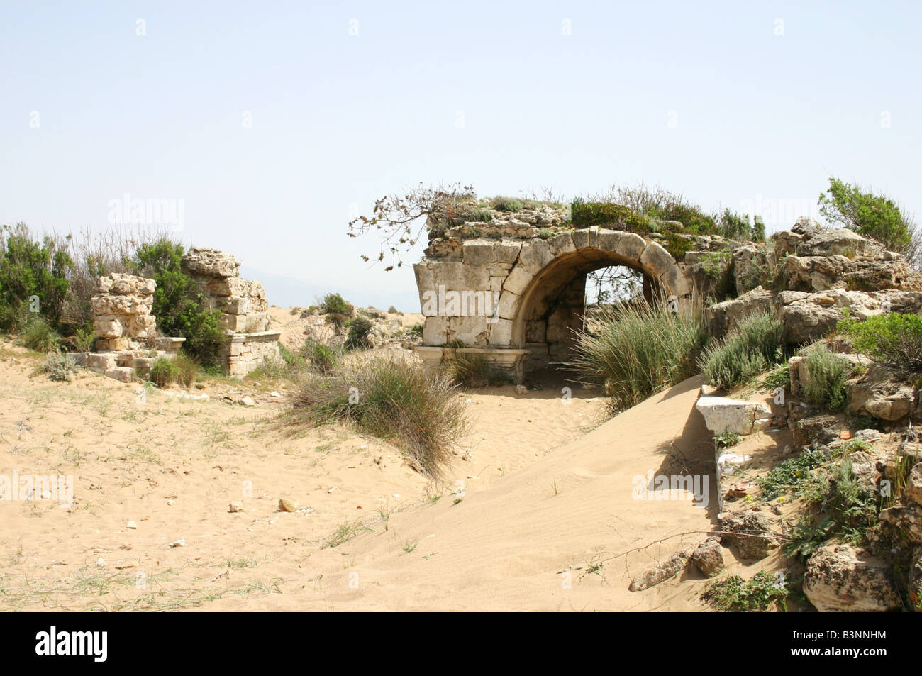 Turkey - Side Stock Photo - Alamy