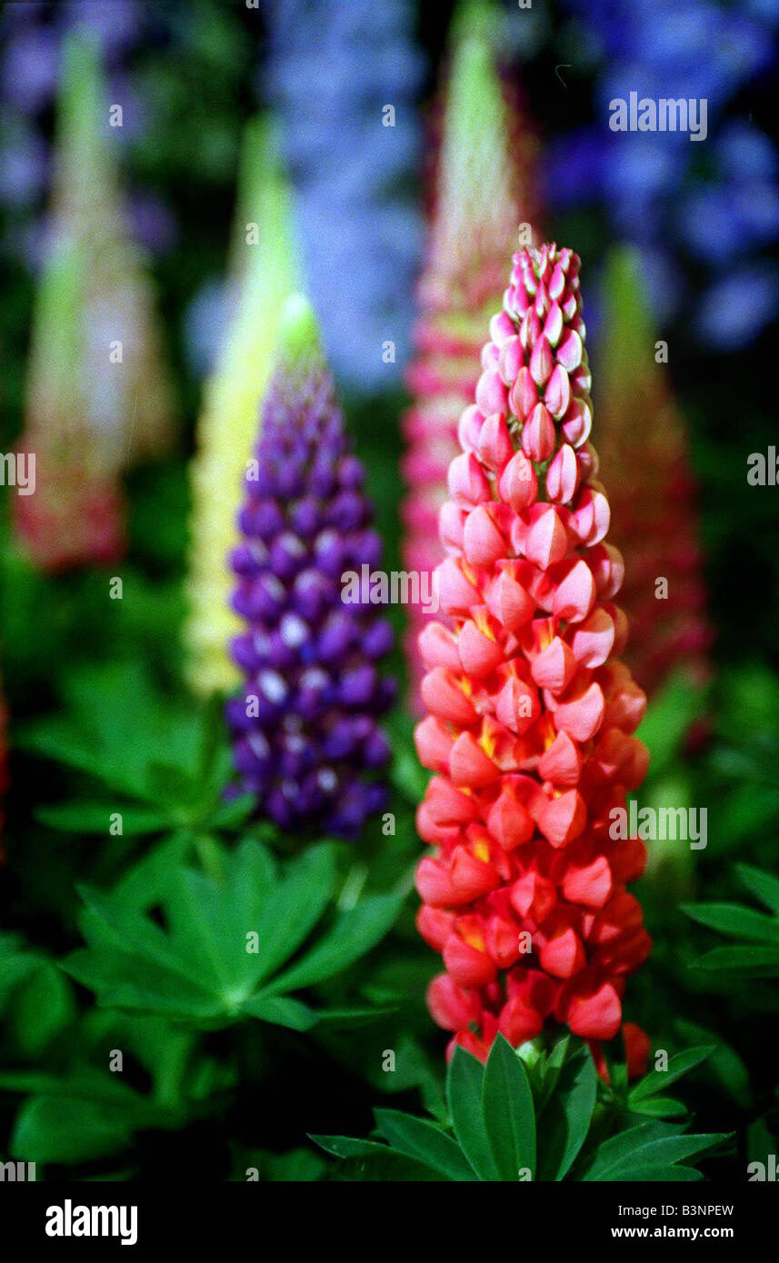 Ingliston hi-res stock photography and images - Alamy