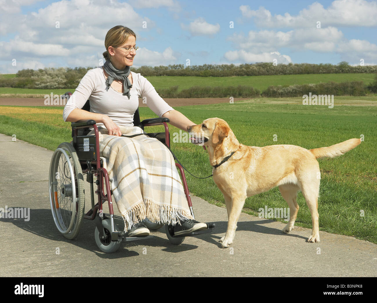 woman in wheelchair with labrador retriever Stock Photo - Alamy