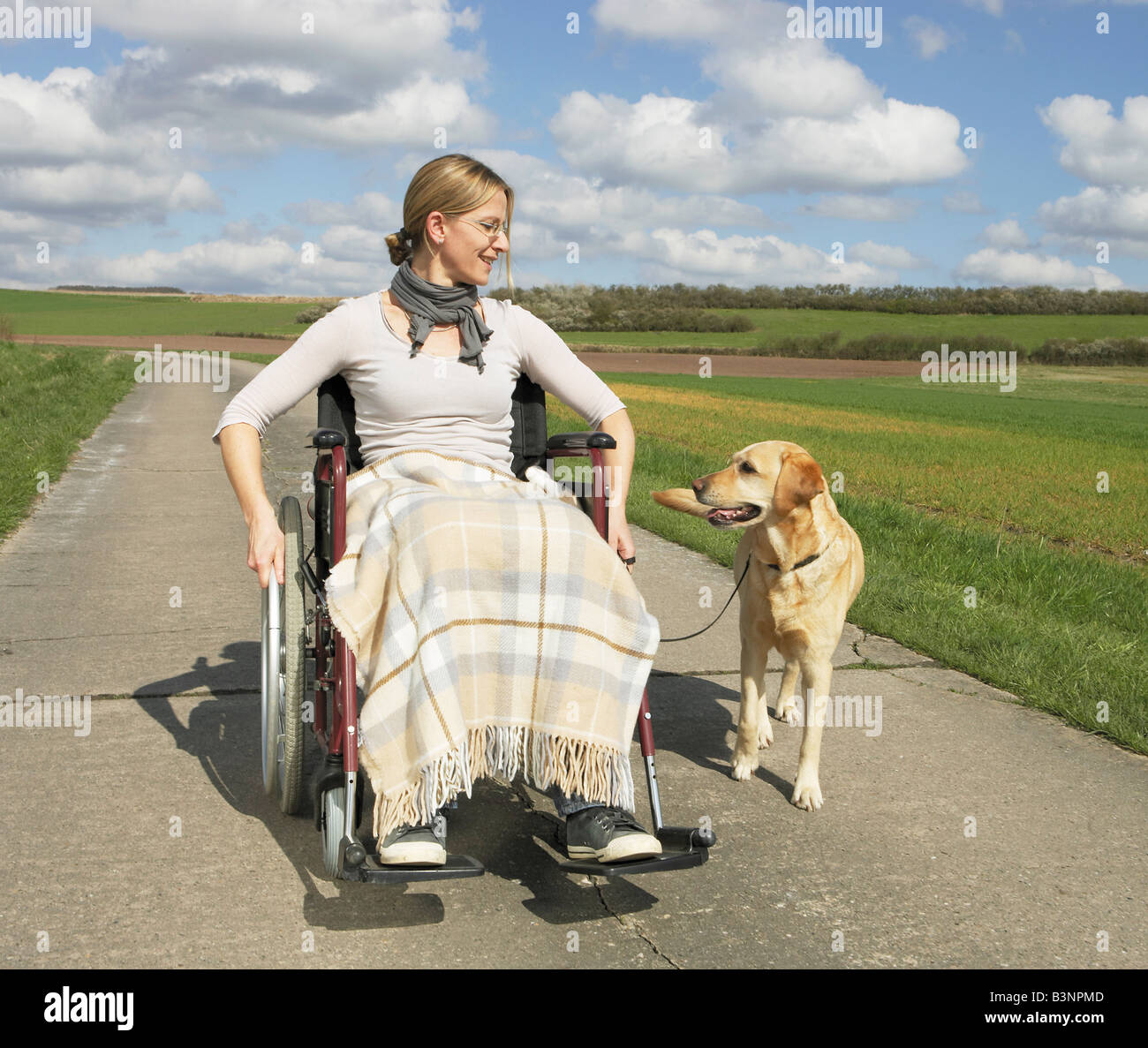 woman in wheelchair with labrador retriever Stock Photo - Alamy