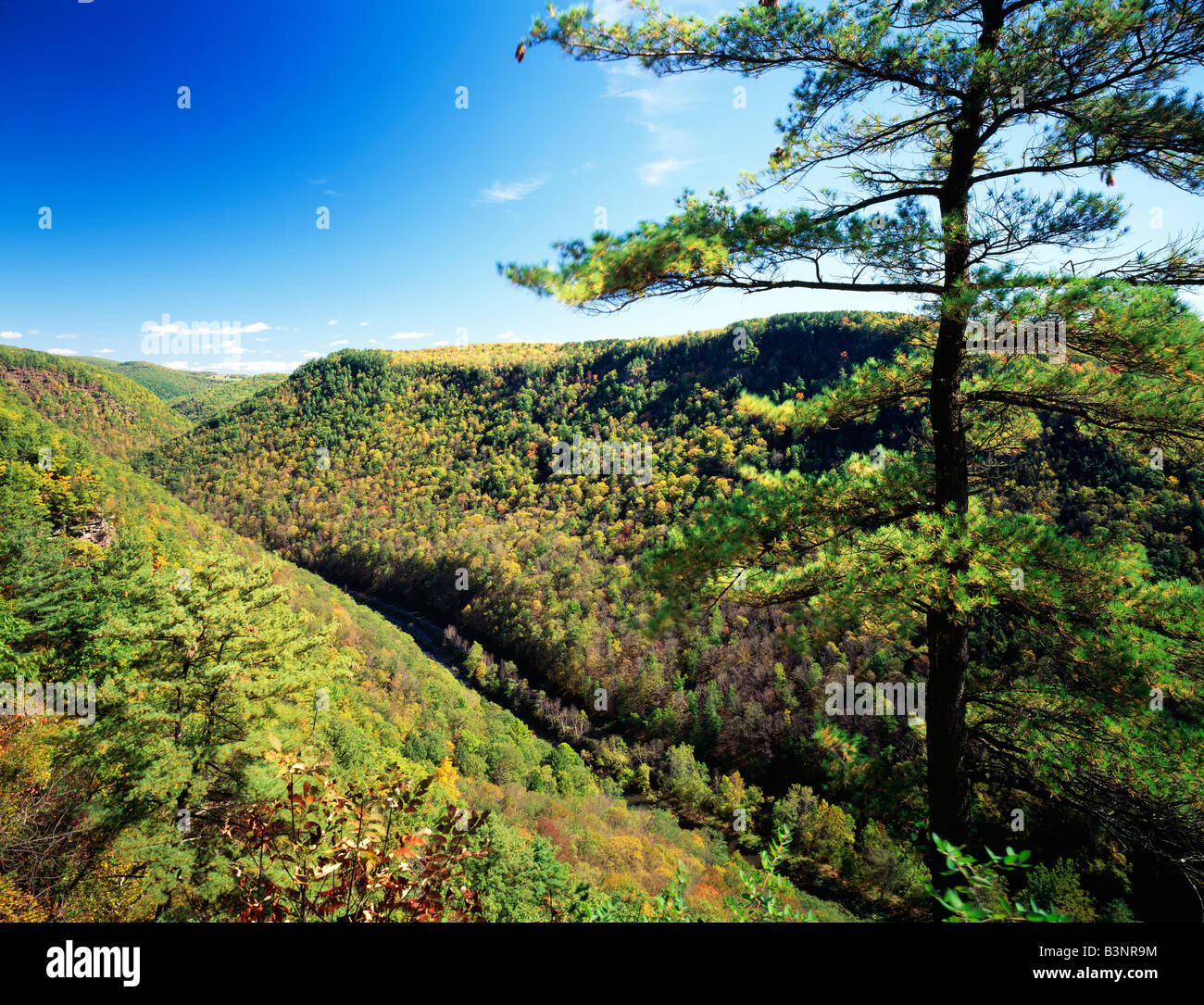 Colton plan or map hi-res stock photography and images - Alamy