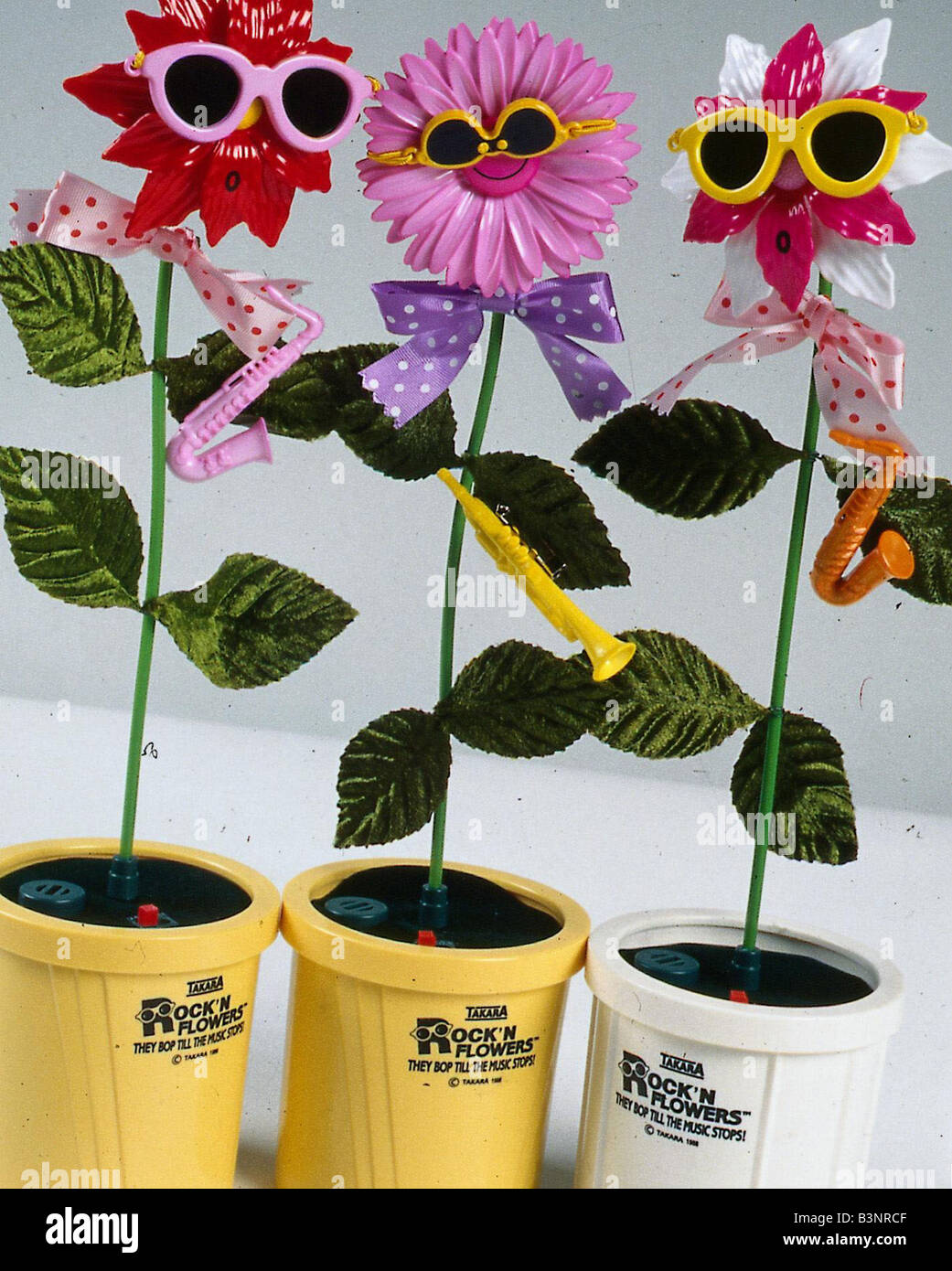 Musicial flowers December 1989 Rock N flowers Stock Photo - Alamy