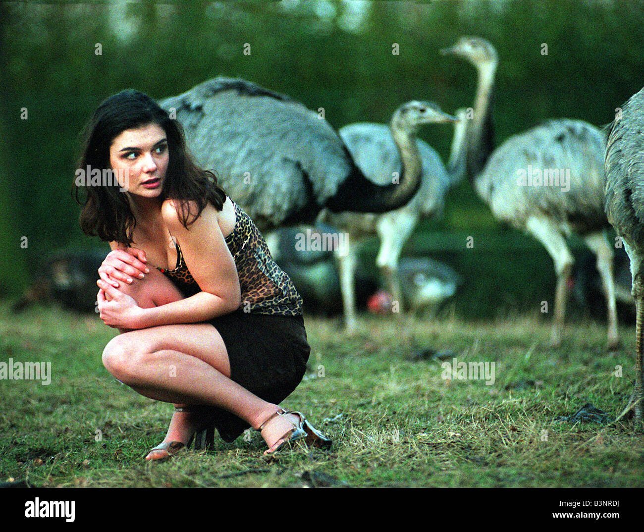 Cavewoman hi-res stock photography and images - Alamy