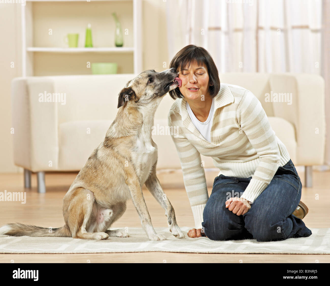half breed dog with woman Stock Photo - Alamy