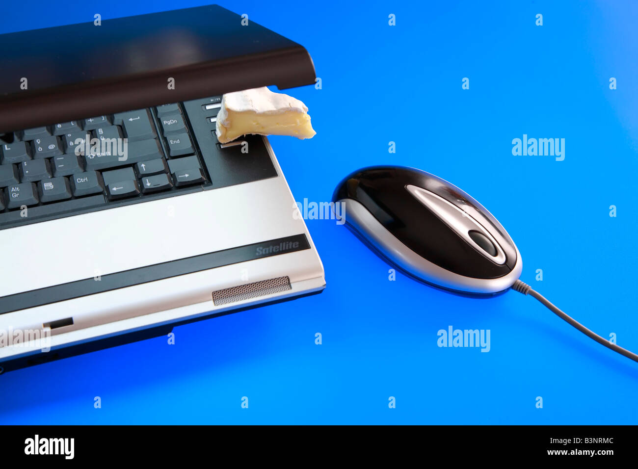 Computer trap hi-res stock photography and images - Alamy
