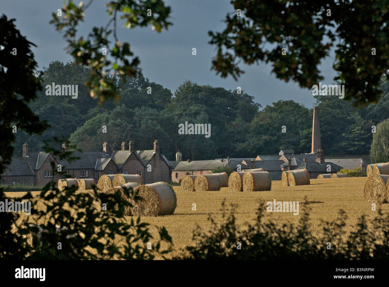 Tatton Park Farm a backdrop to Harvest crops on the Tatton estate in ...
