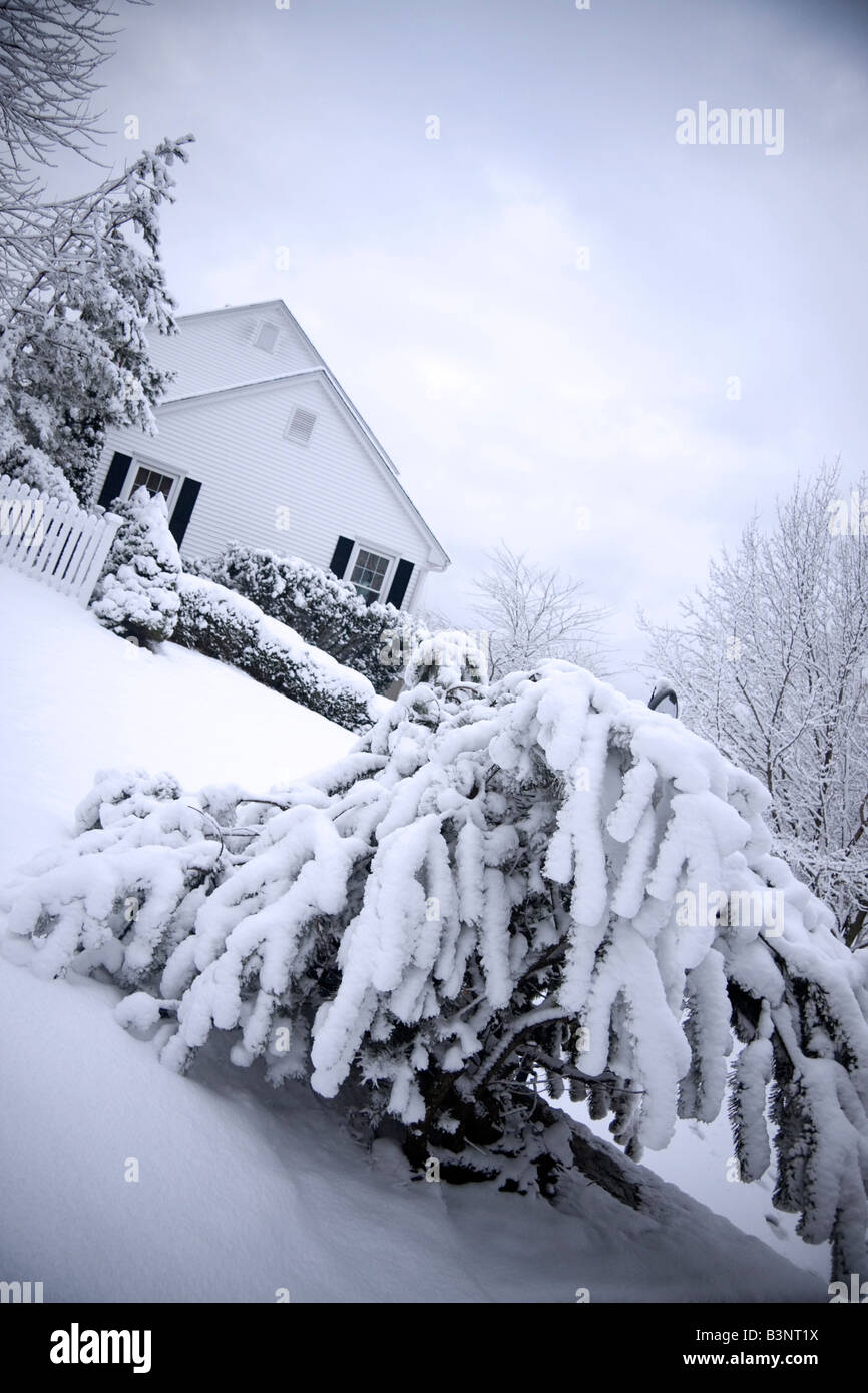 Traditional American colonial style house in winter Stock Photo - Alamy