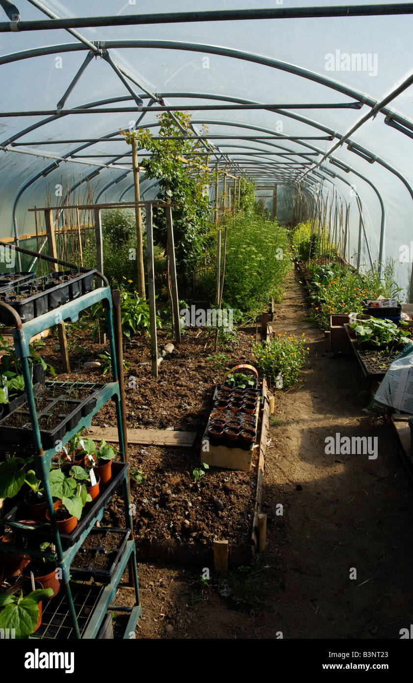 Polytunnel Crops High Resolution Stock Photography and Images - Alamy
