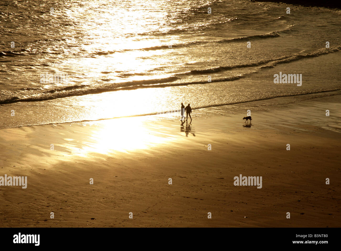 Couple walking a dog on Manorbier beach Wales at sunset Stock Photo - Alamy